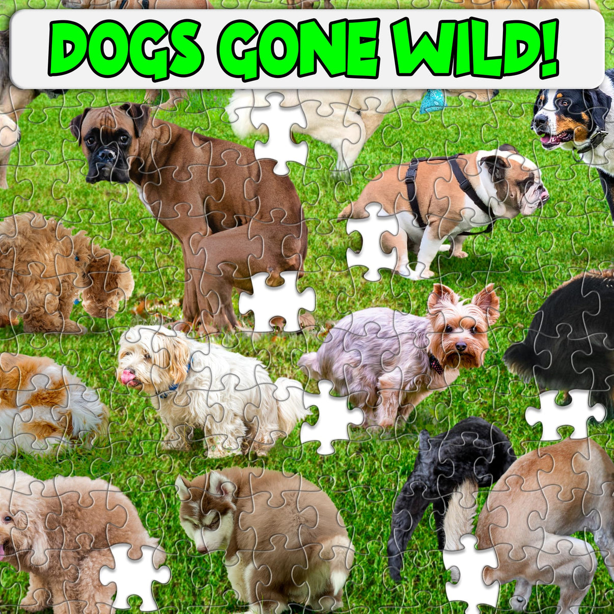 🎁Pooping Dog Jigsaw Puzzle 1000 Piece – Puzzloom
